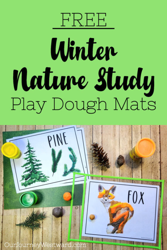 Winter Nature Study Play Dough Mats for Your Homeschool – All American ...
